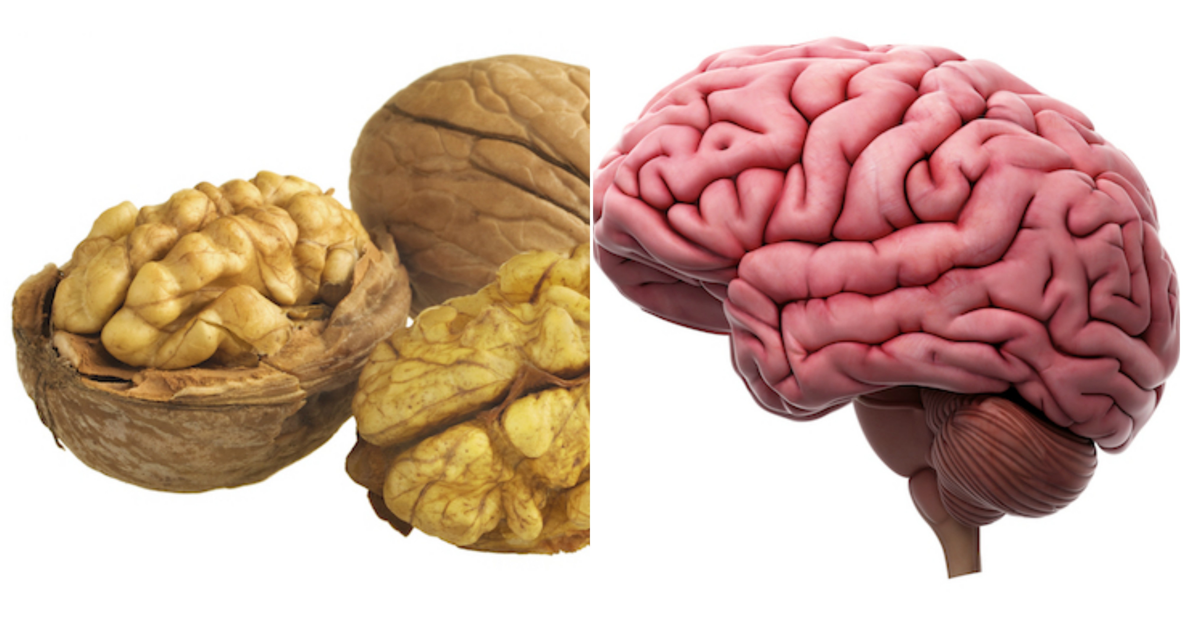 12 Healthy Foods That Look Like The Body Part They re Good For Healthista