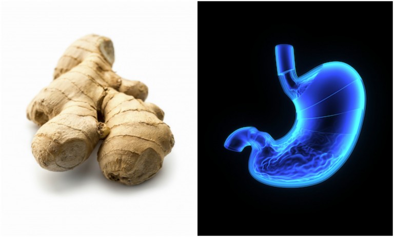 12 healthy foods that look like the body part they're good for - Healthista