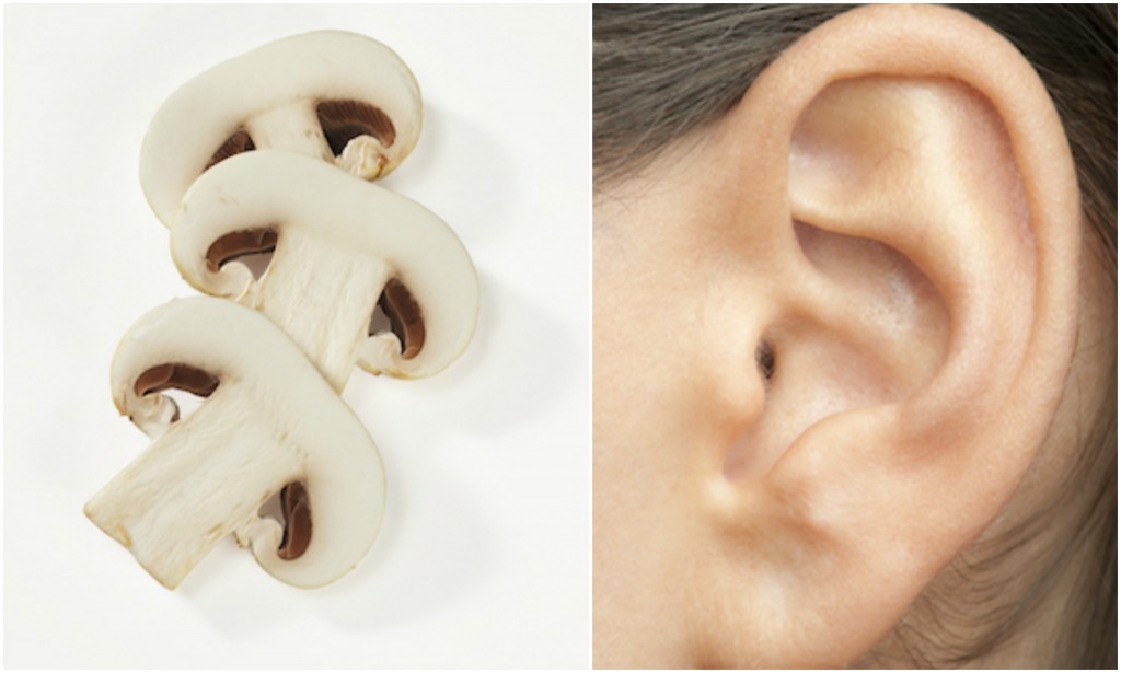 12 healthy foods that look like the body part they're good for - Healthista