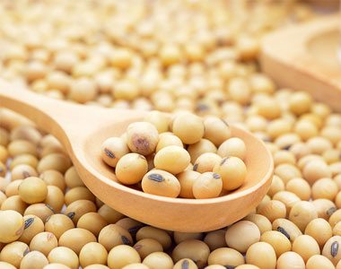 Is soy bad for you? Expert guide - Healthista