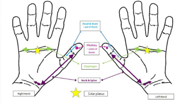 Got back pain? This hand reflexology can help quickly - Healthista