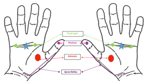 How to relieve stress with hand reflexology - Healthista