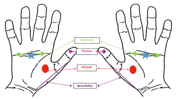 How to relieve stress with hand reflexology - Healthista