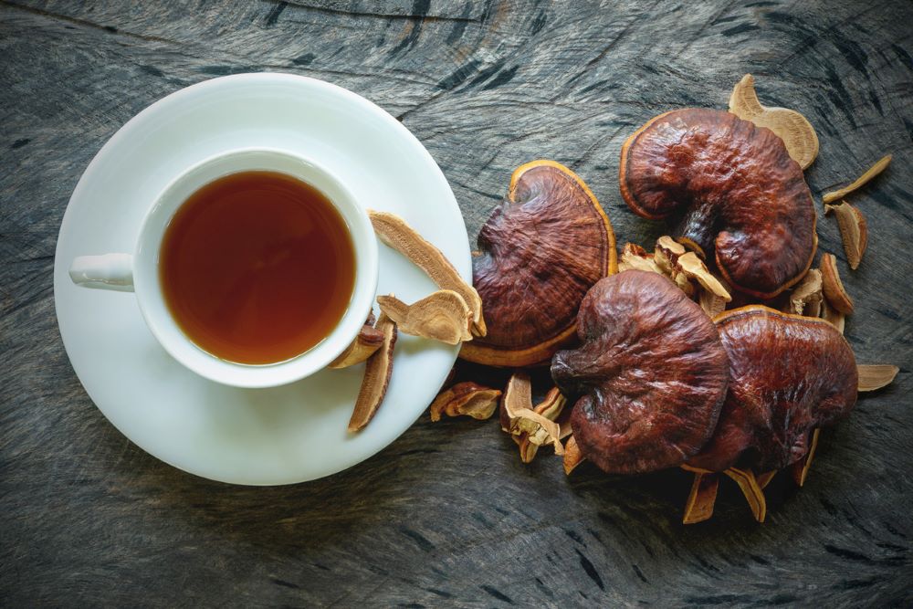 Lion's mane, reishi, chaga - 9 reasons medicinal mushrooms are the new CBD