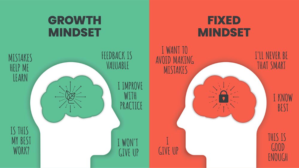 Growth Mindset vs Fixed Mindset - which one leads to success?